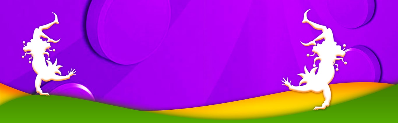 Coco Bongo® Show & Disco - Official Tickets Here